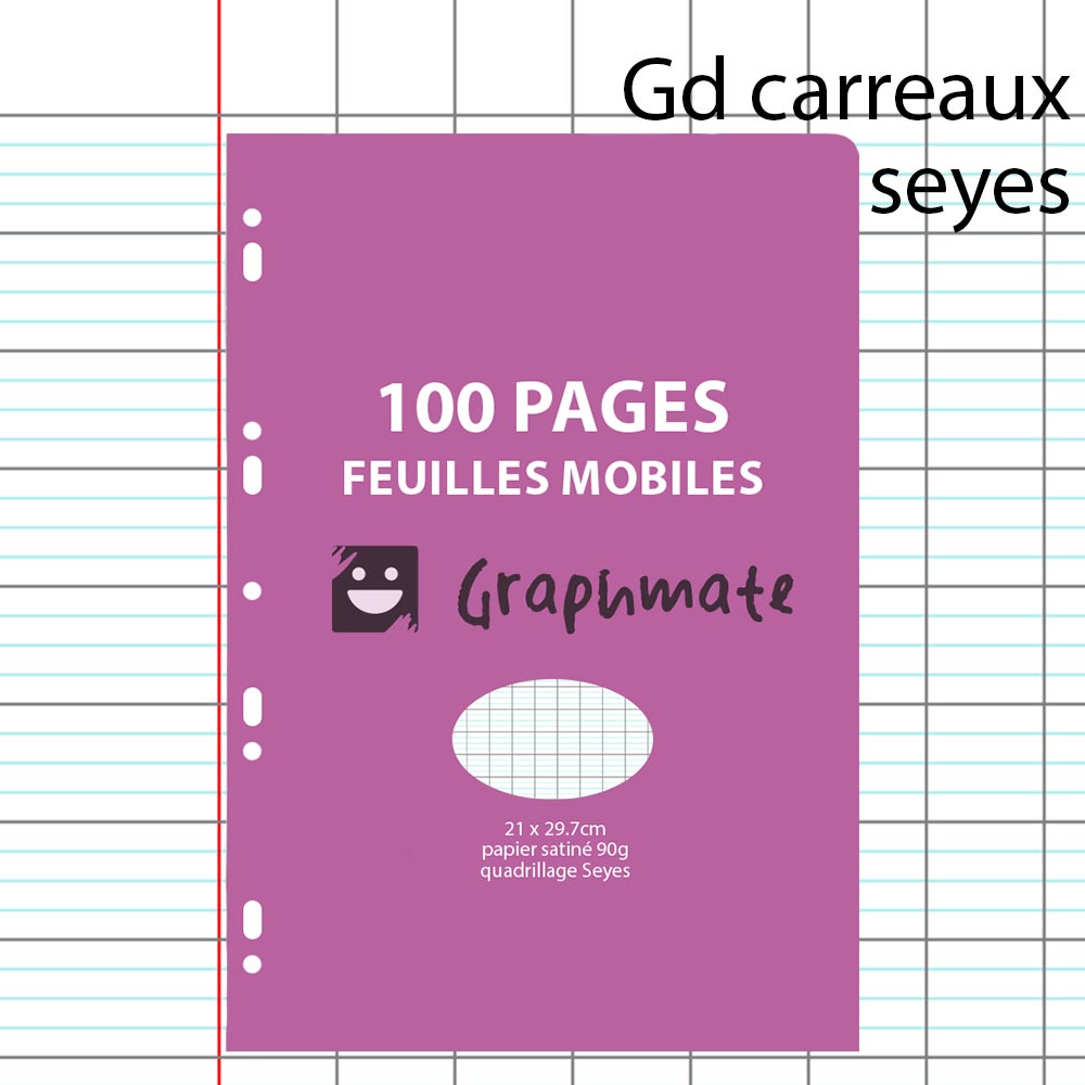 100 pages Feuillets mobiles A4 GRAPHMATE Prestige grands carreaux Séyès ...