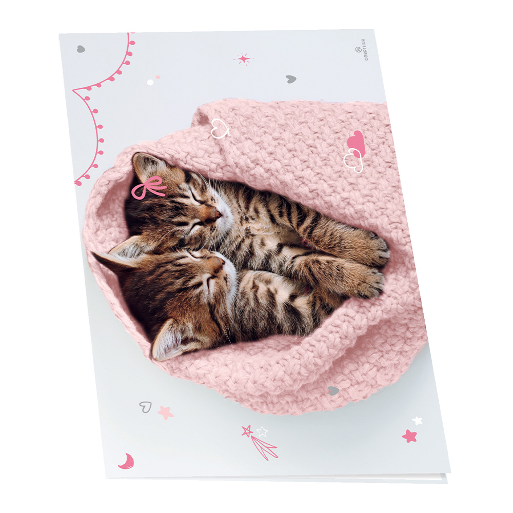 Sous-main double ouvrant OBERTHUR Chatons Cute : Chez Rentreediscount ...