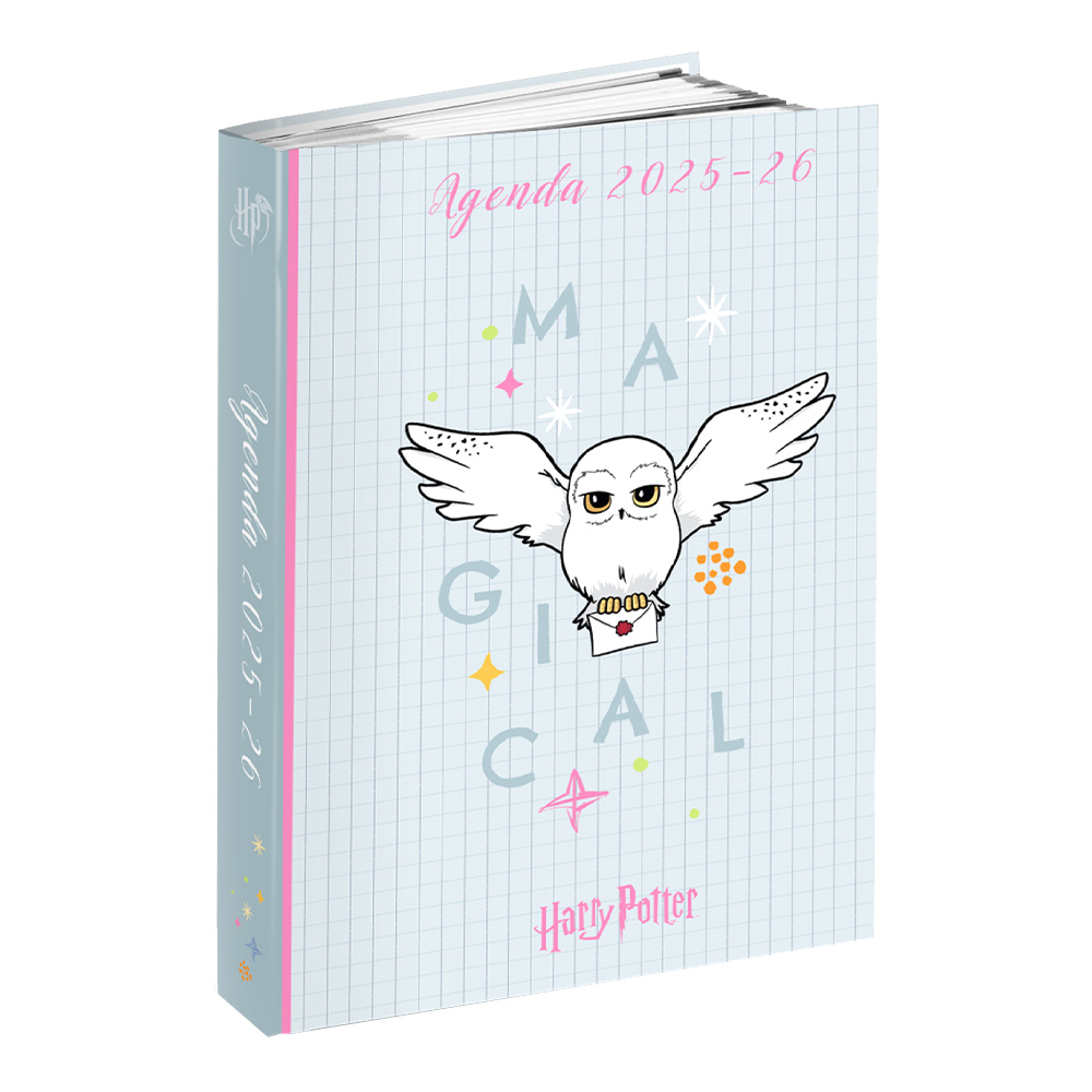 Agenda scolaire HARRY POTTER Hedwig 2025-2026 bleu : Chez ...