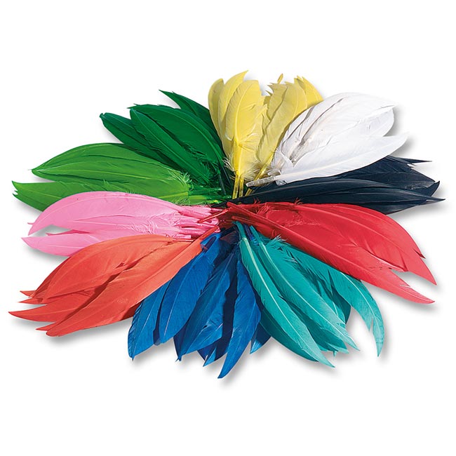Plumes indiennes 100g coloris assortis : Chez Rentreediscount Loisirs ...