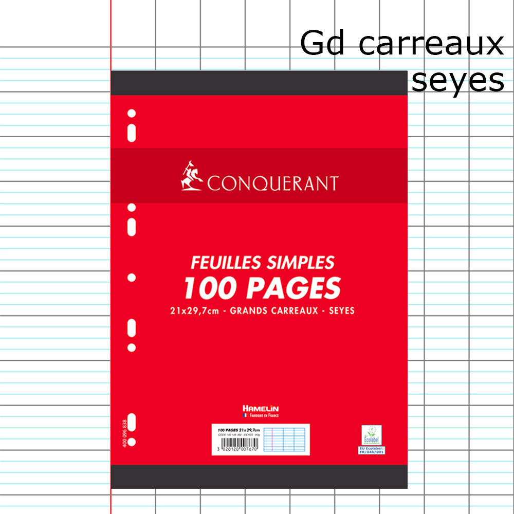 100 p feuilles simples mobiles 80 g Seyès 21x29,7 : Chez ...