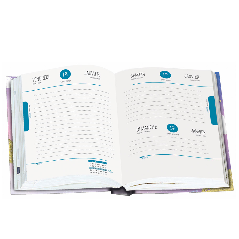 Agenda scolaire OBERTHUR Cygne 2019-2020 : Chez Rentreediscount ...