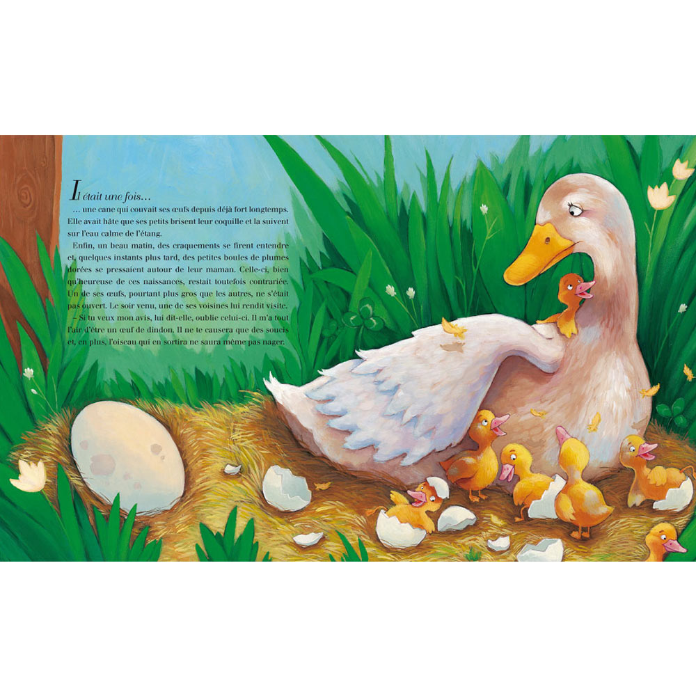 Livre enfant Le vilain petit Canard - Minicontes classiques LITO : Chez ...